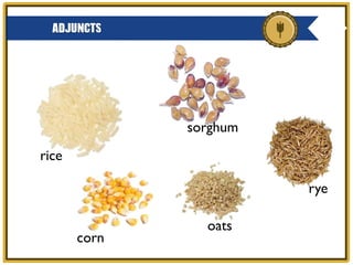 Advanced Foods Presentation - Beer | KEY | Chemistry | Science