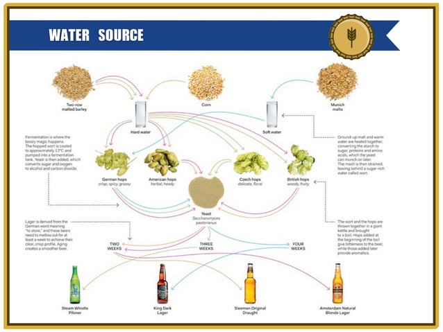 Advanced Foods Presentation - Beer