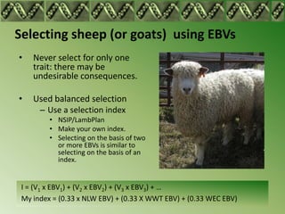 Advanced genetics | PPTX