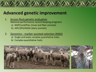 Advanced genetics | PPTX