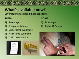 Advanced genetics | PPTX