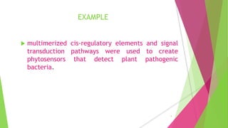Advanced genetic tools for plant biotechnology | PPTX