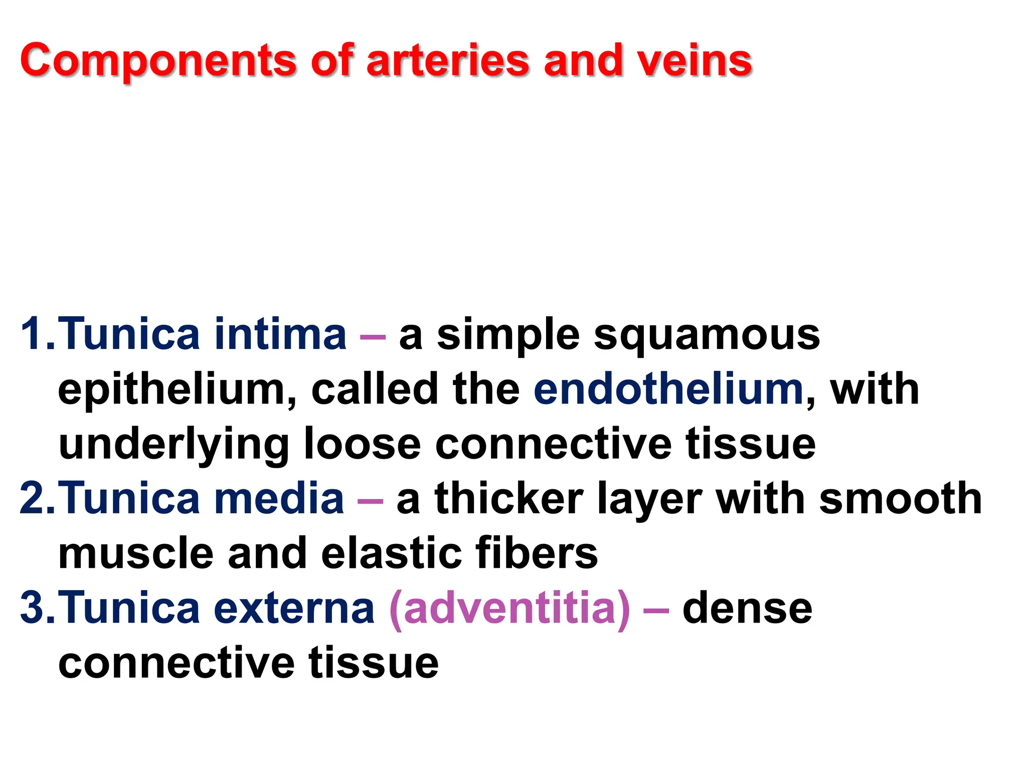 Advanced HISTOLOGY OF THE Blood Vessel.pptx