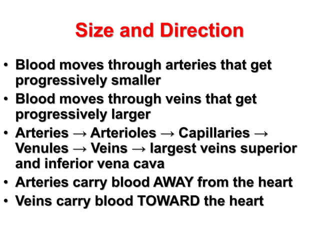 Advanced HISTOLOGY OF THE Blood Vessel.pptx