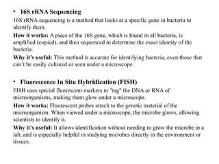 Advanced Identification Techniques for Identifying and Isolating ...