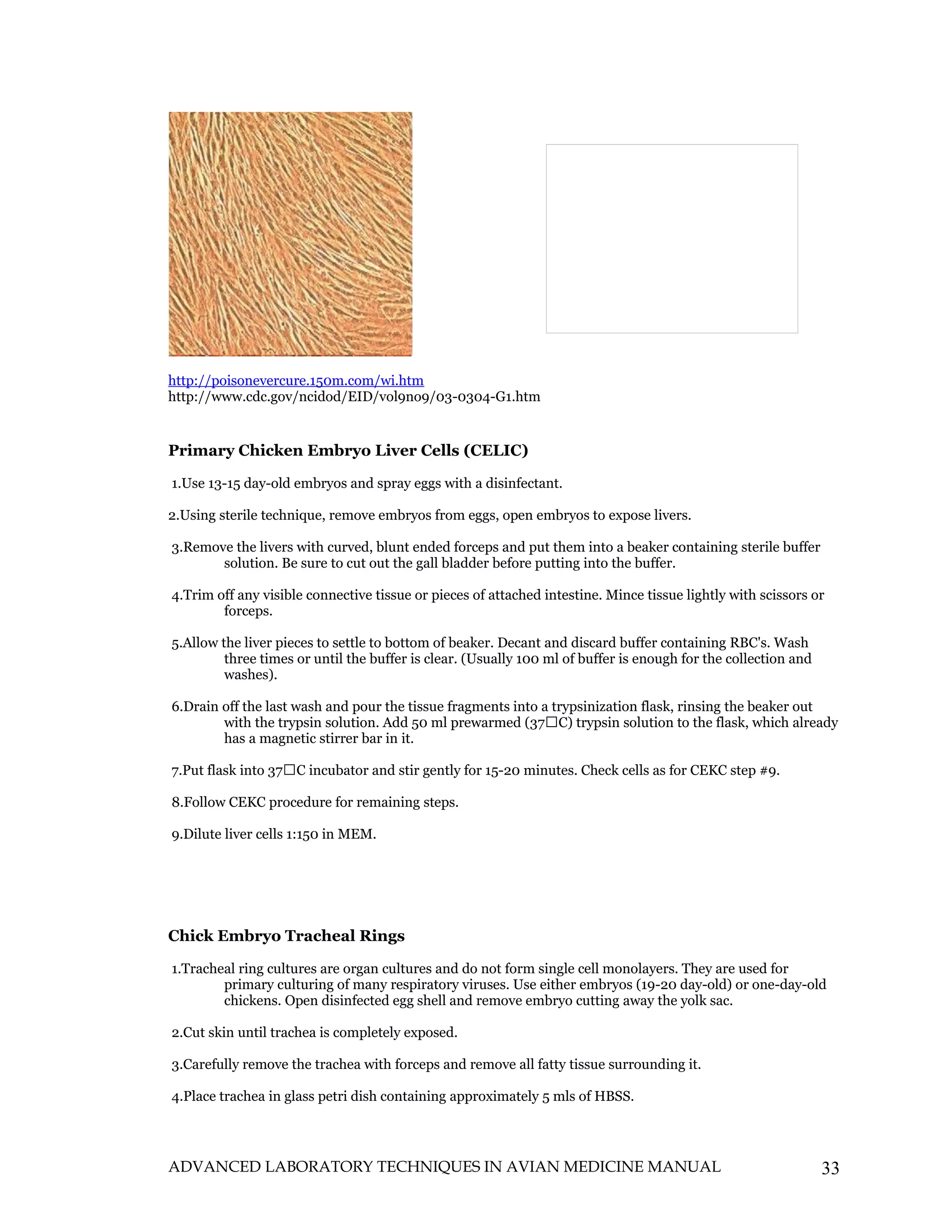 Advanced Laboratory Techniques in Poultry Disease Diagnosis | DOC