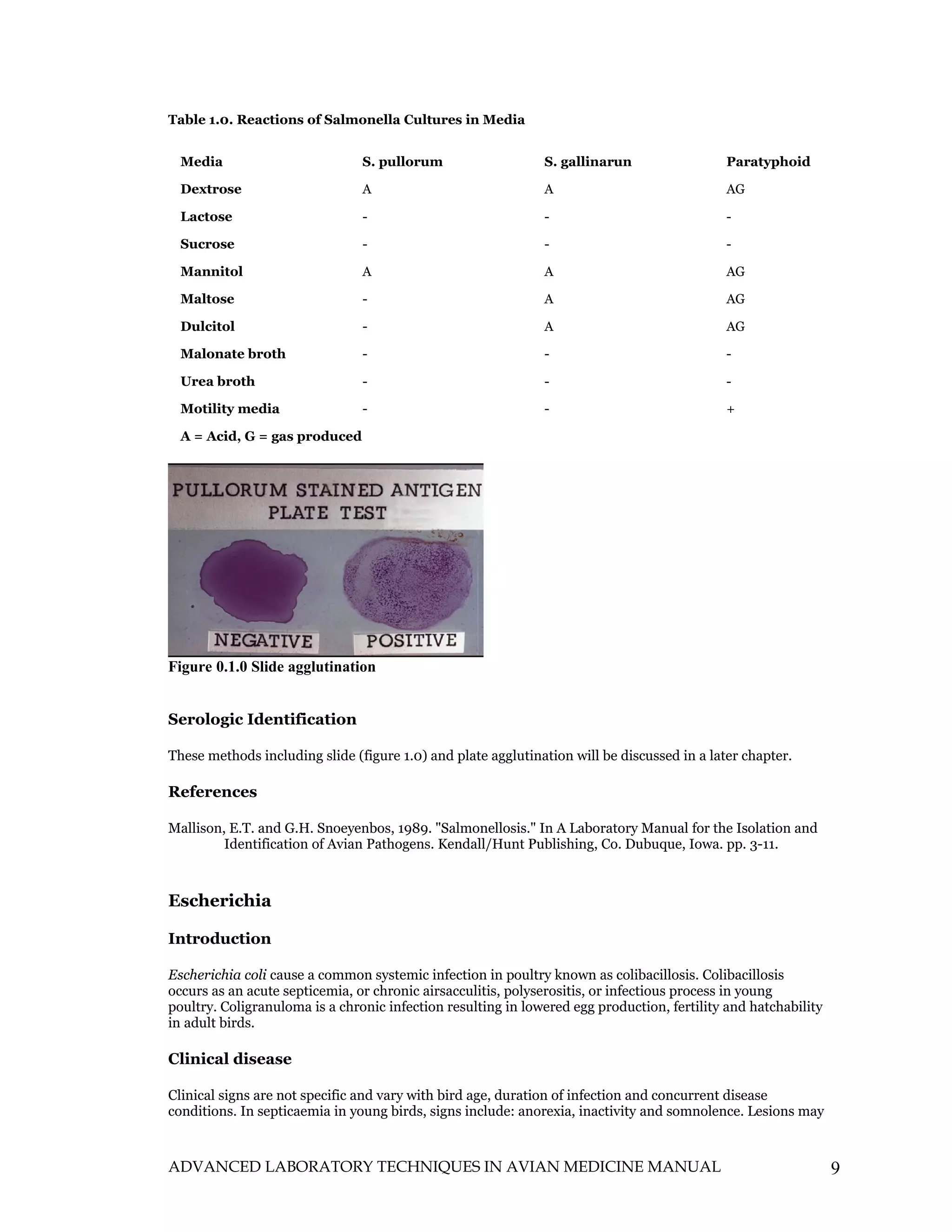 Advanced Laboratory Techniques in Poultry Disease Diagnosis | DOC