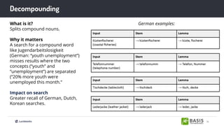 AI-Powered Linguistics and Search with Fusion and Rosette | PPT