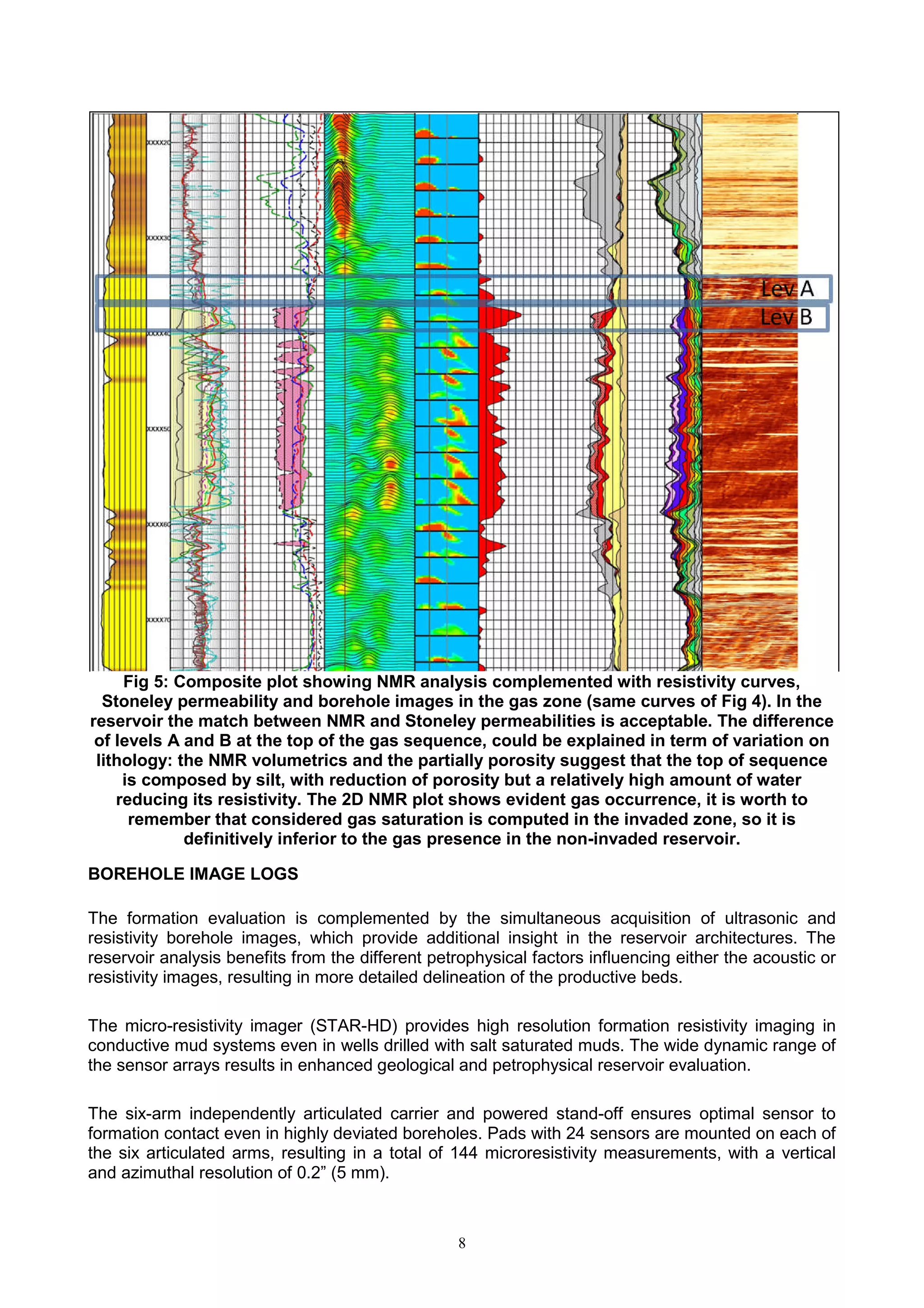 Advanced logging evaluation gas reservoir of Levantine basin | PDF