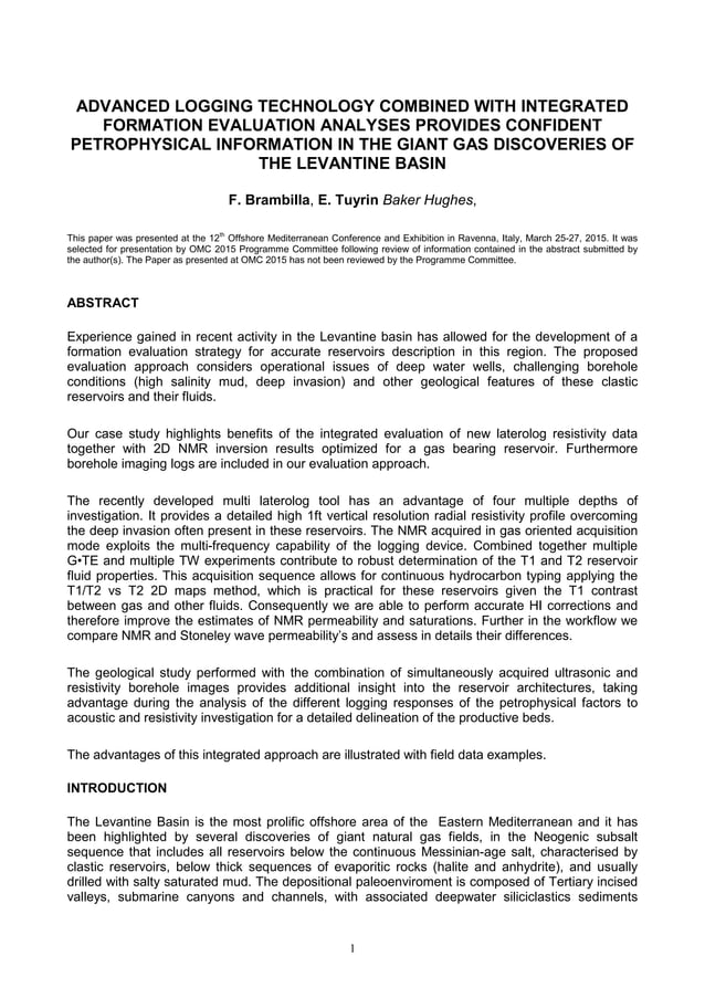 Advanced logging evaluation gas reservoir of Levantine basin | PDF