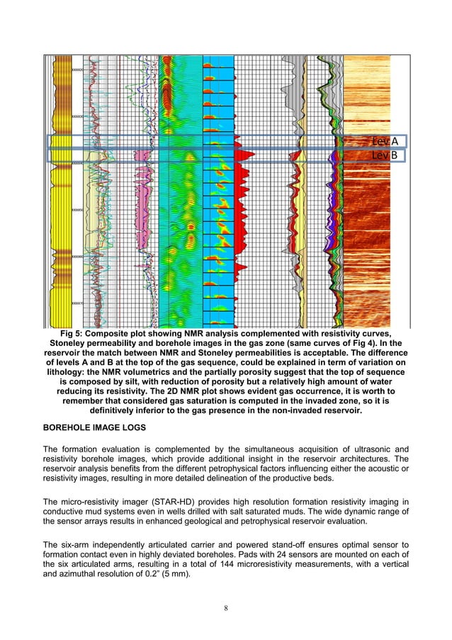Advanced logging evaluation gas reservoir of Levantine basin | PDF