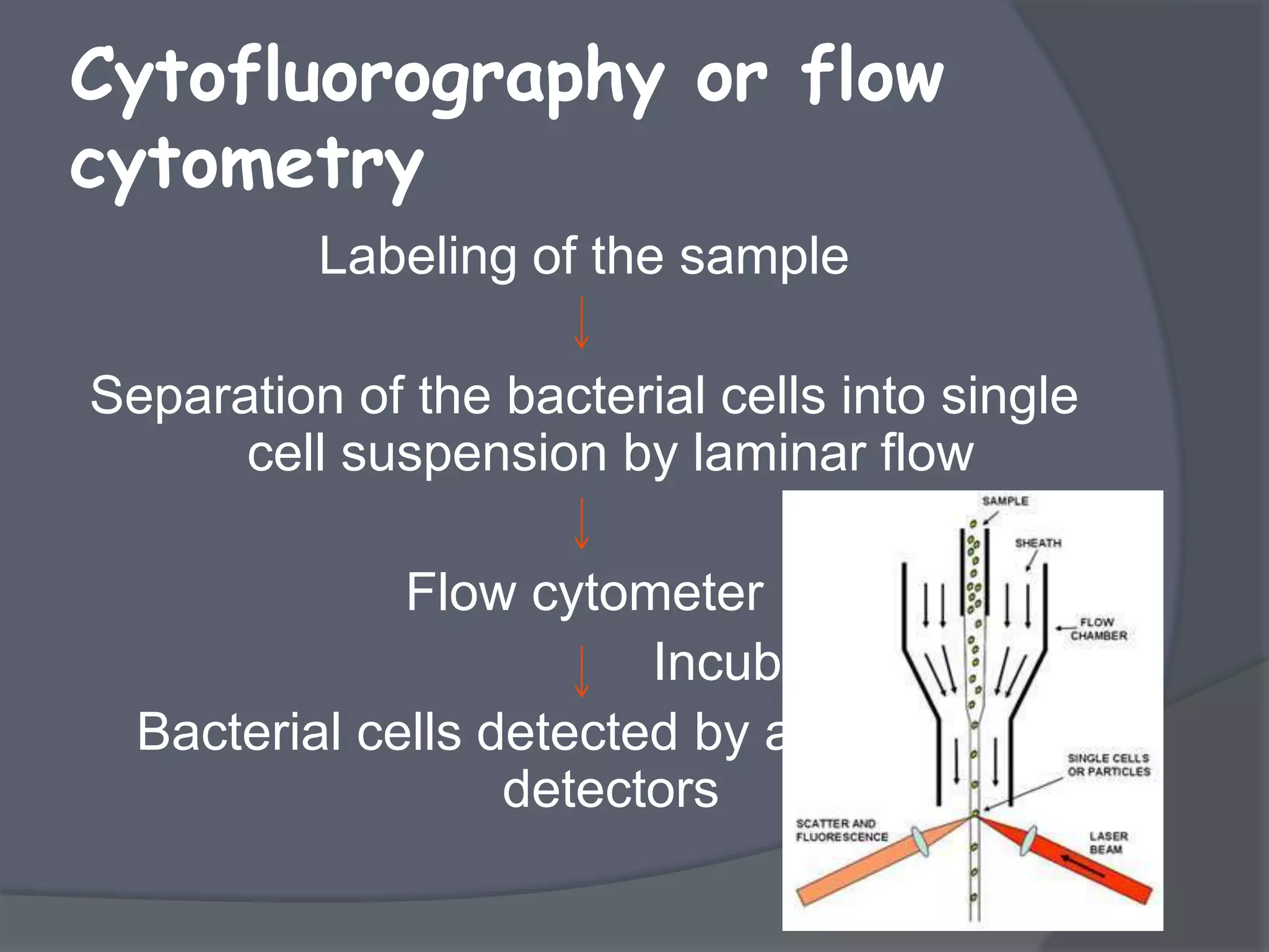 Advanced Microbiological Diagnostics.pptx