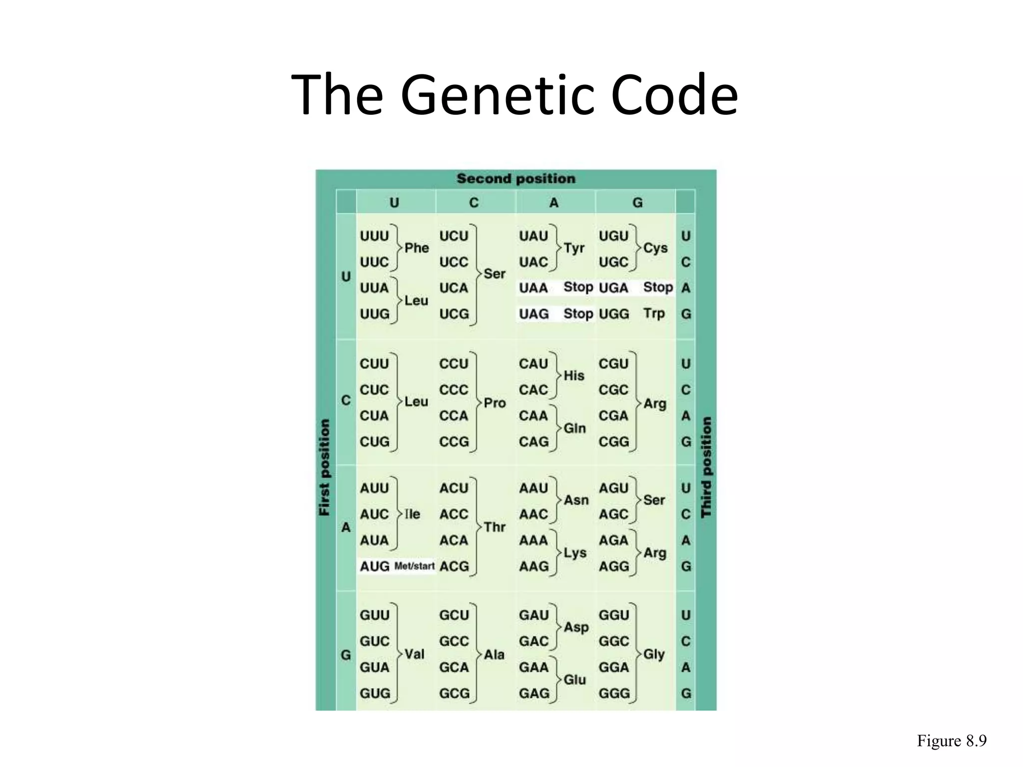 Advanced molecular biology.ppt