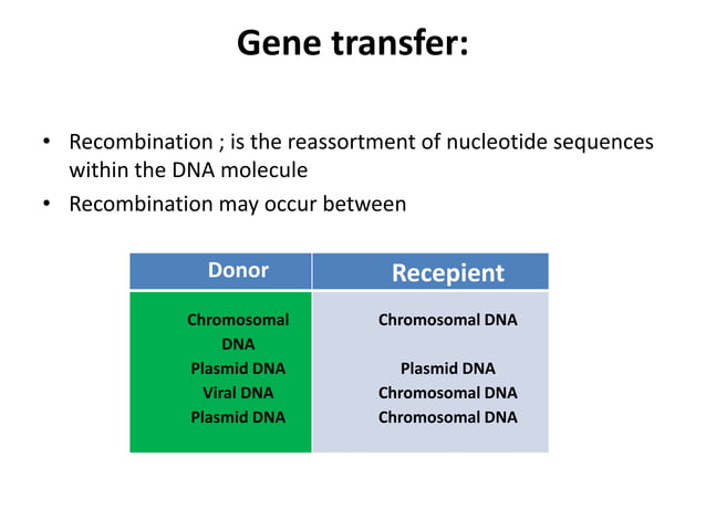 Advanced molecular biology.ppt | Chemistry | Science