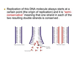 Advanced molecular biology.ppt