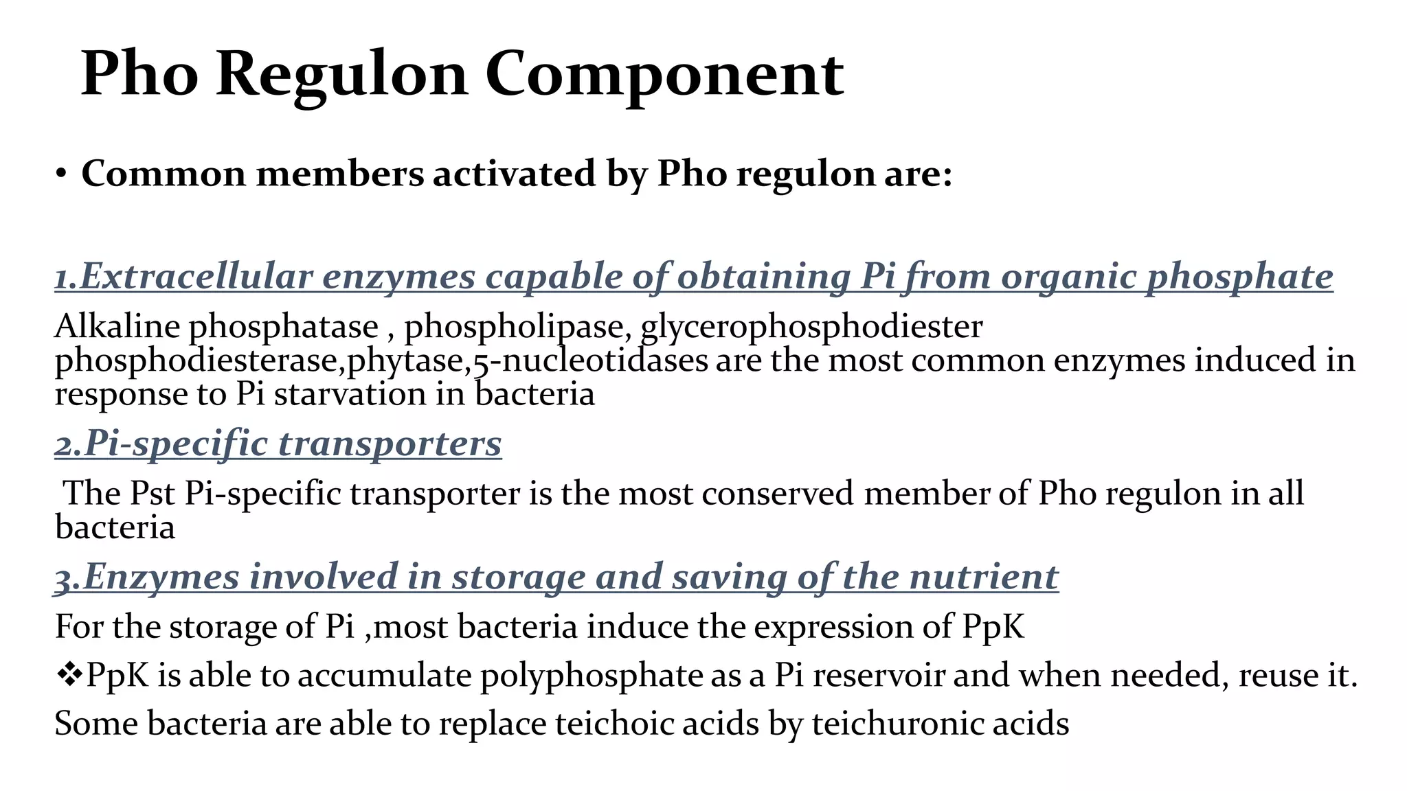 Advanced molecular genetics | PPTX