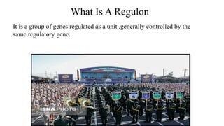 Advanced molecular genetics | PPTX