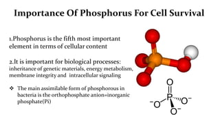 Advanced molecular genetics | PPTX