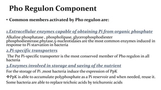 Advanced molecular genetics | PPTX