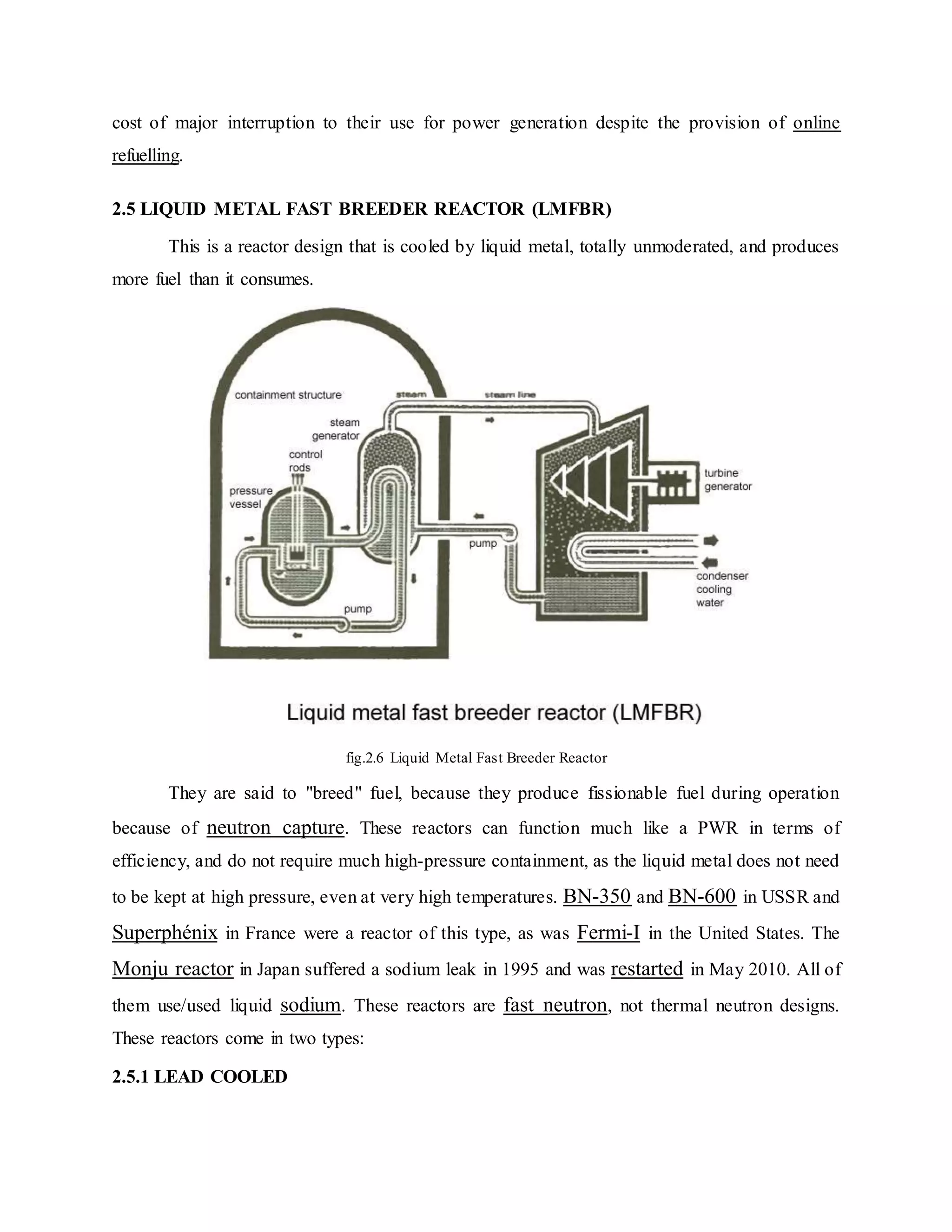 Advanced nuclear reactor in nuclear power station | DOCX
