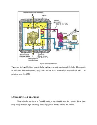 Advanced nuclear reactor in nuclear power station | DOCX