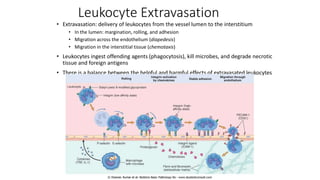 Advanced Pathophysiology 3.pptx