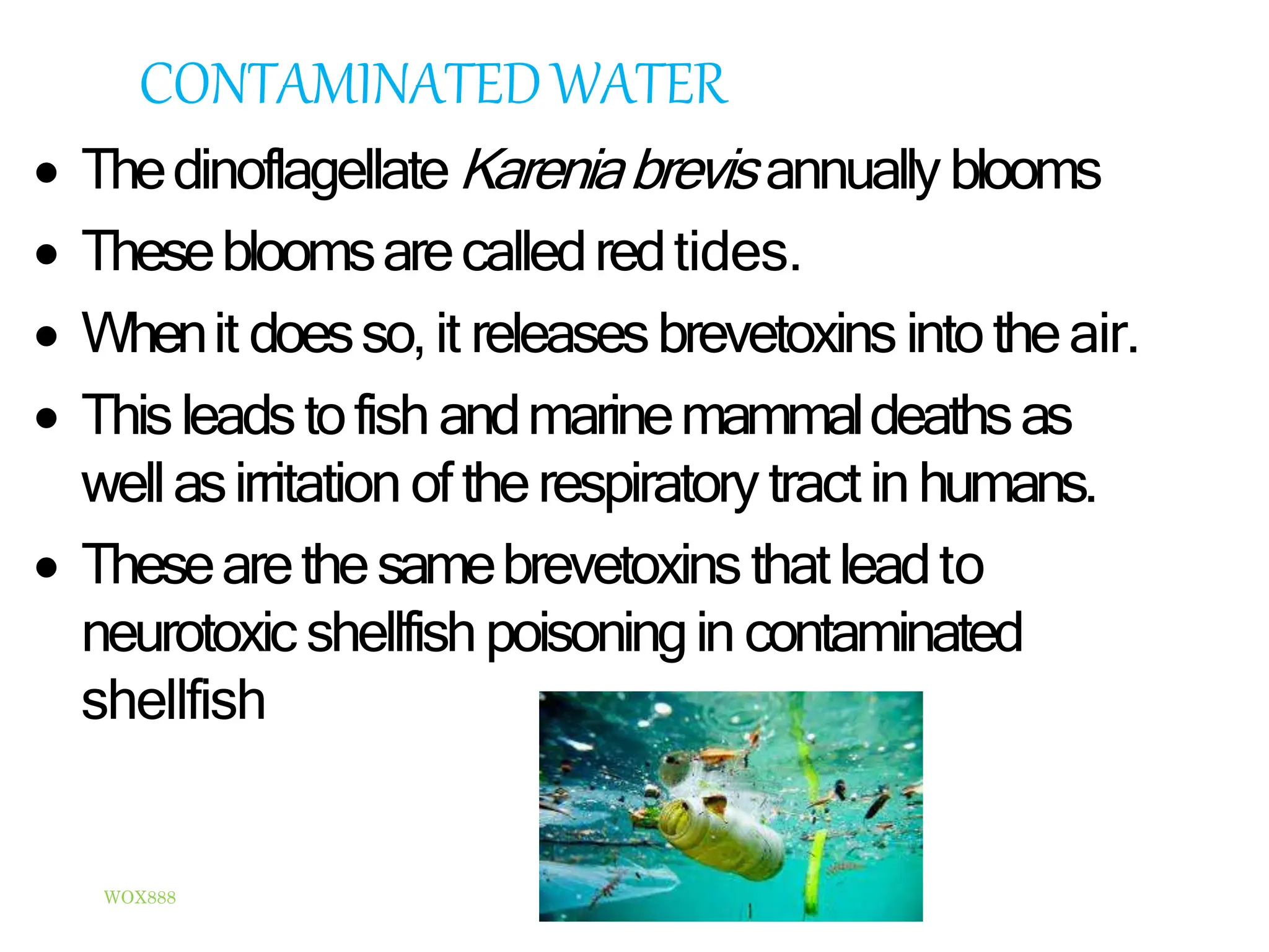 advanced pharmacognosy Marine toxin.pptx