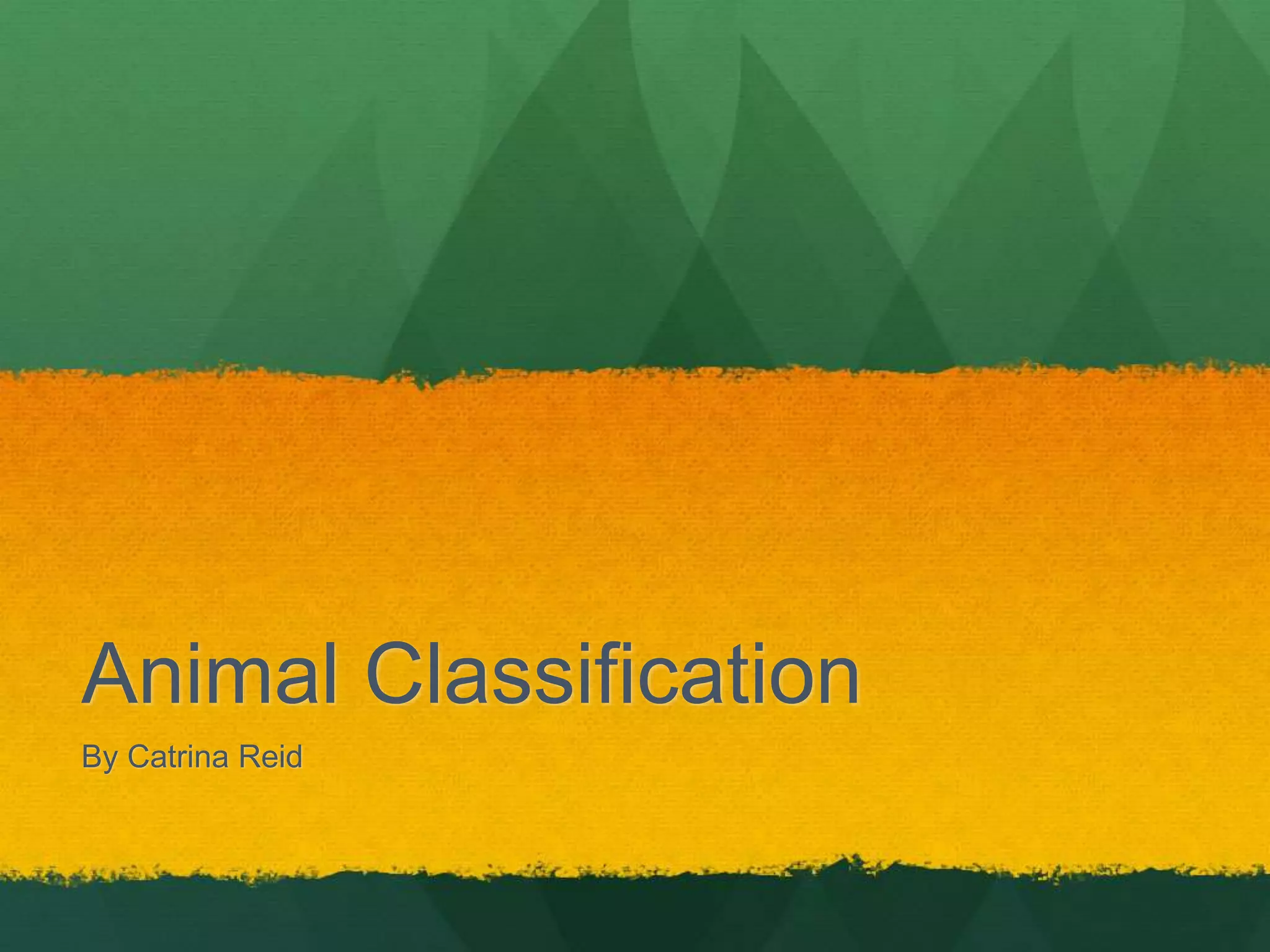 Animal classification | PPT