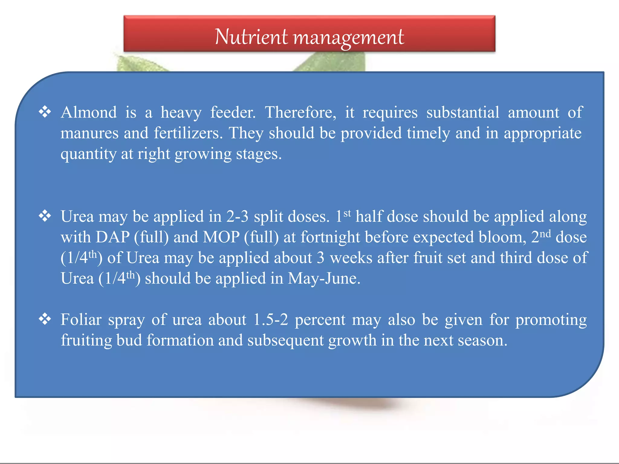 Advanced production technology of almond | PPTX