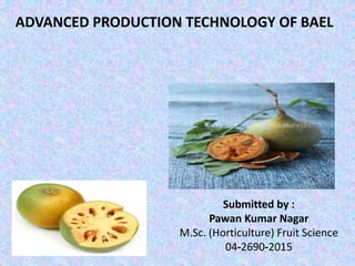 Advanced production technology of bael | PPTX