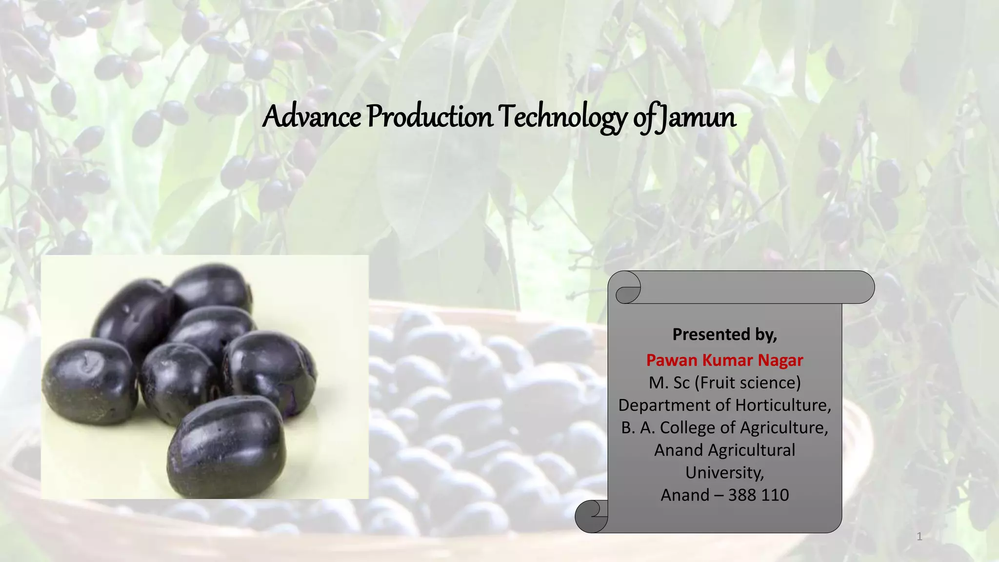 Advanced production technology of jamun crop | PPTX
