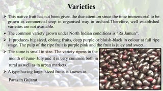 Advanced production technology of jamun crop | PPTX