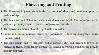 Advanced production technology of jamun crop | PPTX