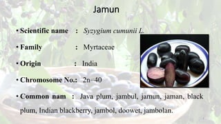 Advanced production technology of jamun crop | PPTX