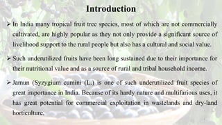 Advanced production technology of jamun crop | PPTX