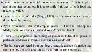 Advanced production technology of jamun crop | PPTX