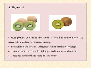 Advanced production technology of kiwi fruit | PPTX
