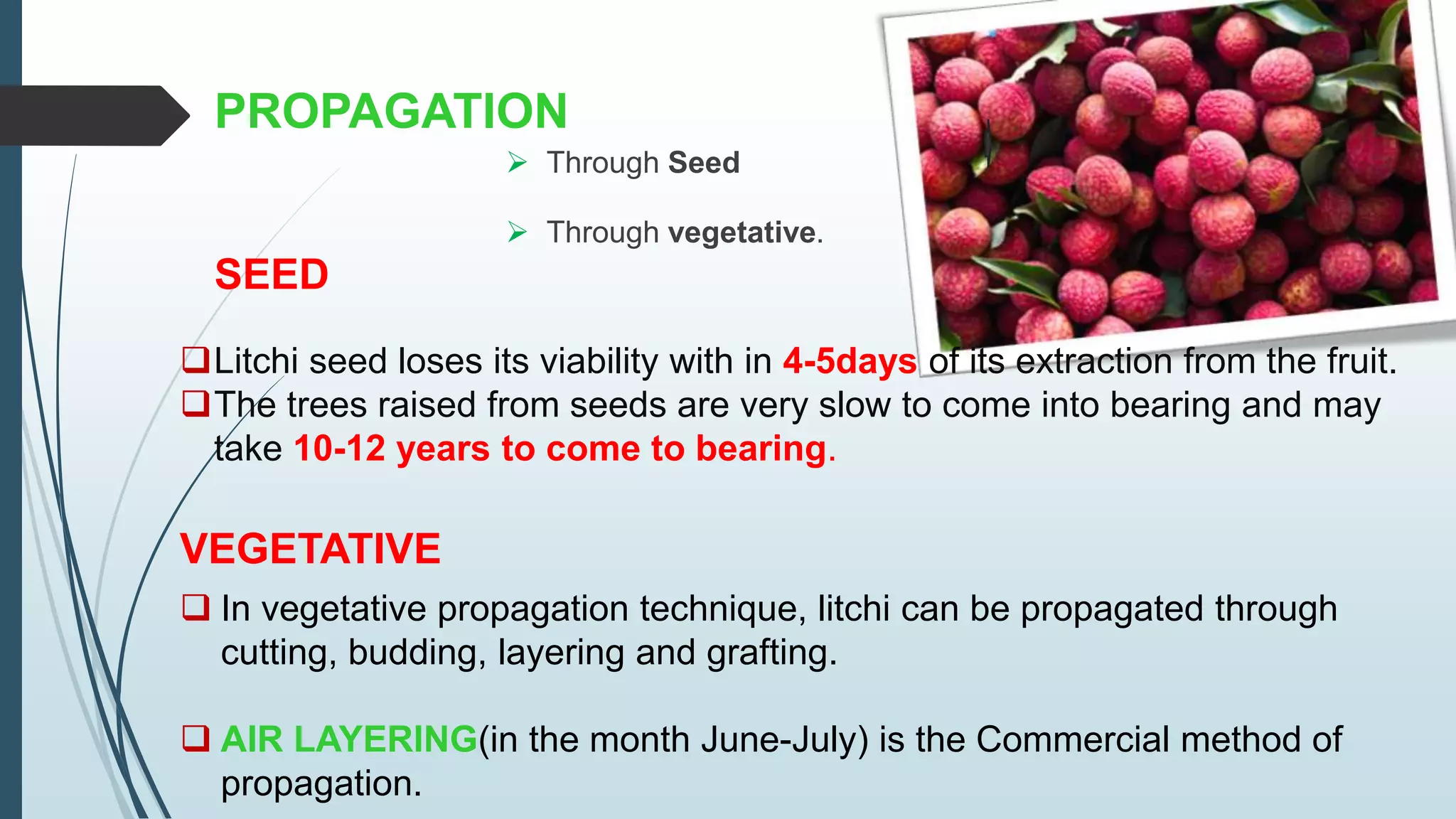 Advanced production technology of litchi | PPTX | Agriculture | Industries
