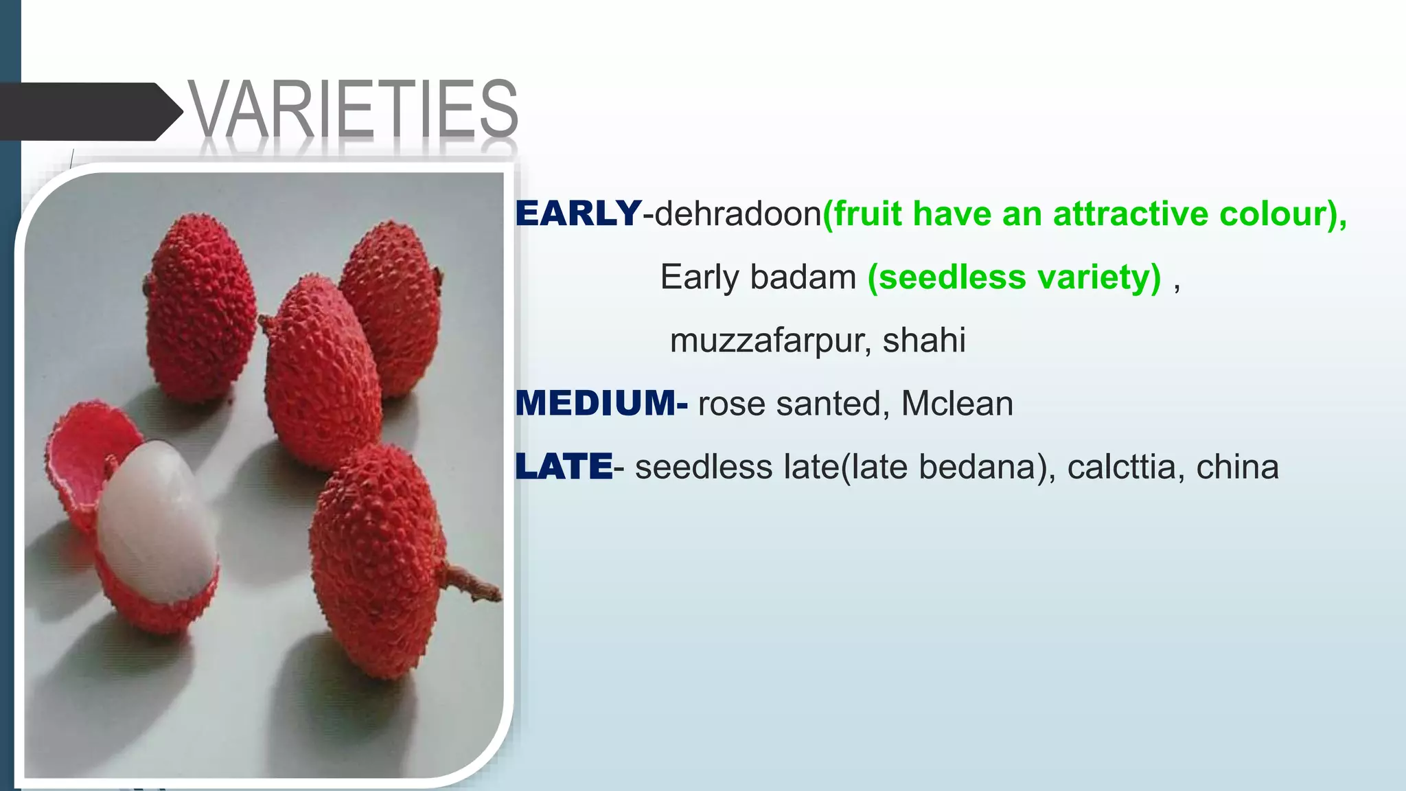 Advanced production technology of litchi | PPTX