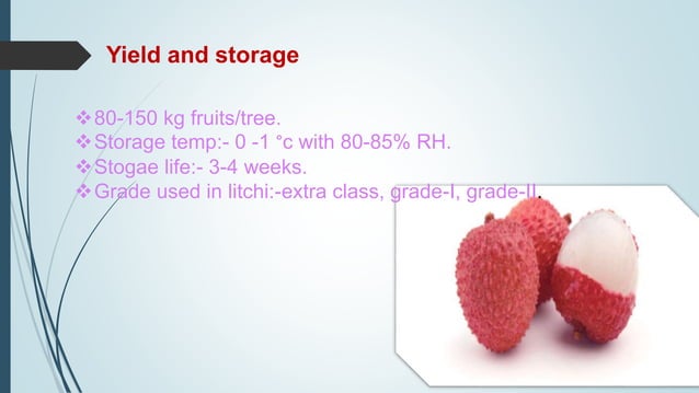 Advanced production technology of litchi | PPTX | Agriculture | Industries