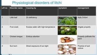 Advanced production technology of litchi | PPTX