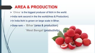Advanced production technology of litchi | PPTX