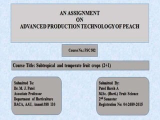 Advanced production technology of peach | PPTX