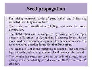 Advanced production technology of pear | PPTX