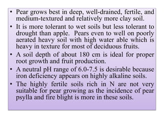 Advanced production technology of pear | PPTX