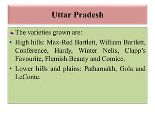 Advanced production technology of pear | PPTX