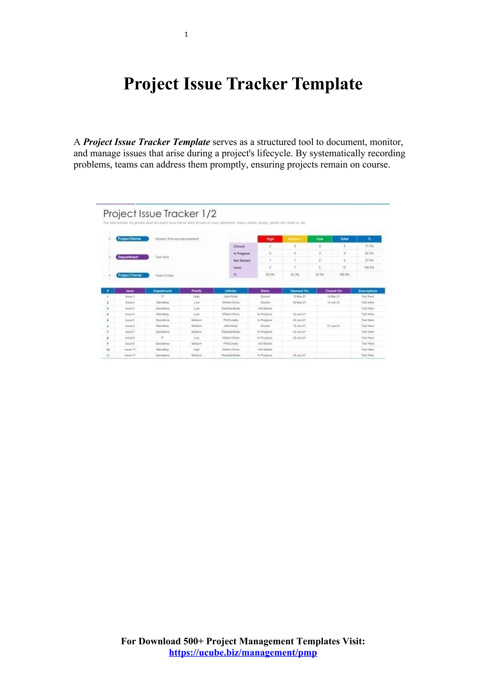 Advanced Project Issue Tracker Template.docx