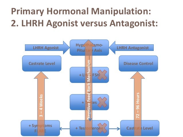 Advanced Prostate Cancer Non Crpc