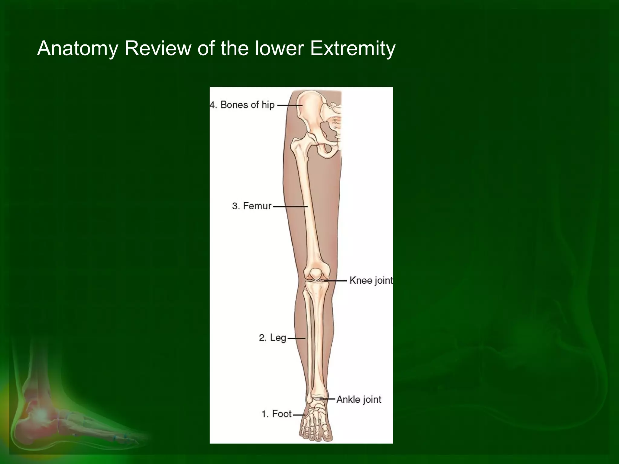 Advanced radiographic positions for the lower extremities | PPT