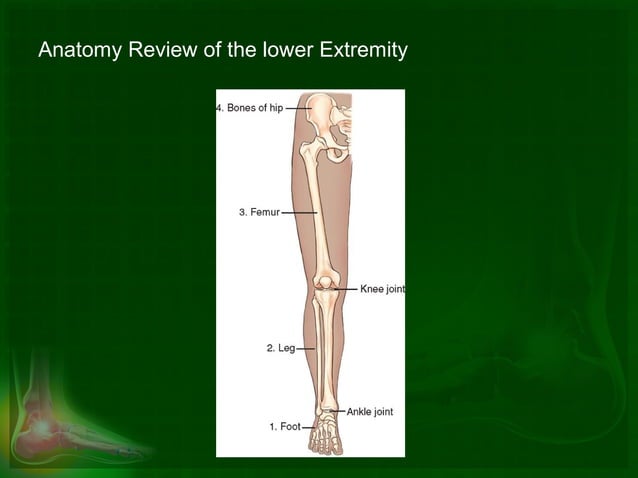 Advanced radiographic positions for the lower extremities | PPT